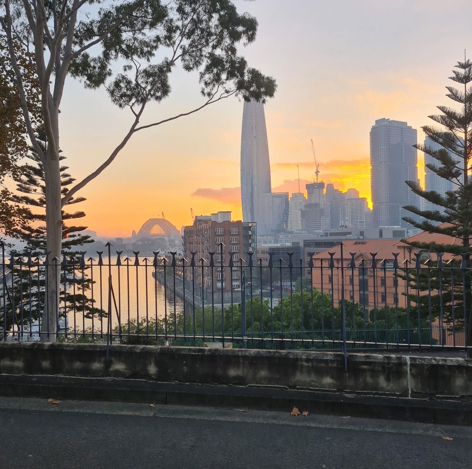 Best Spots To See The Sunset In Sydney | Aiden Darling Harbour